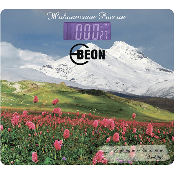 Купить Весы напольные Beon BN-1106 по выгодной цене в интернет-магазине М.Видео